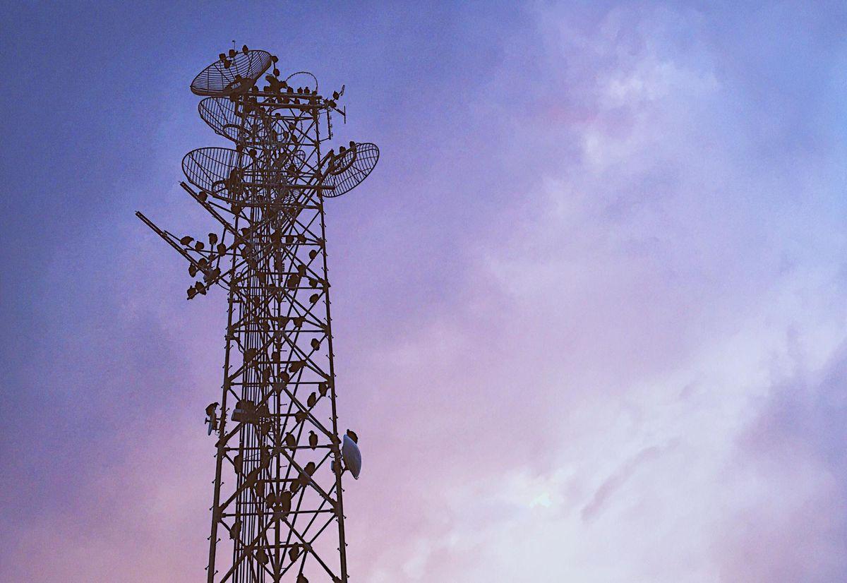 PIF, STC Strike Deal: Largest Telecom Tower Firm in the Making