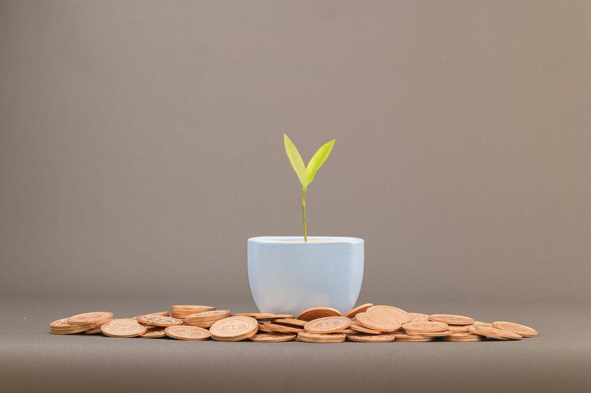 Rasmal Ventures Launches First Home-Grown Qatari VC Fund